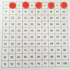 100 Square Ideas